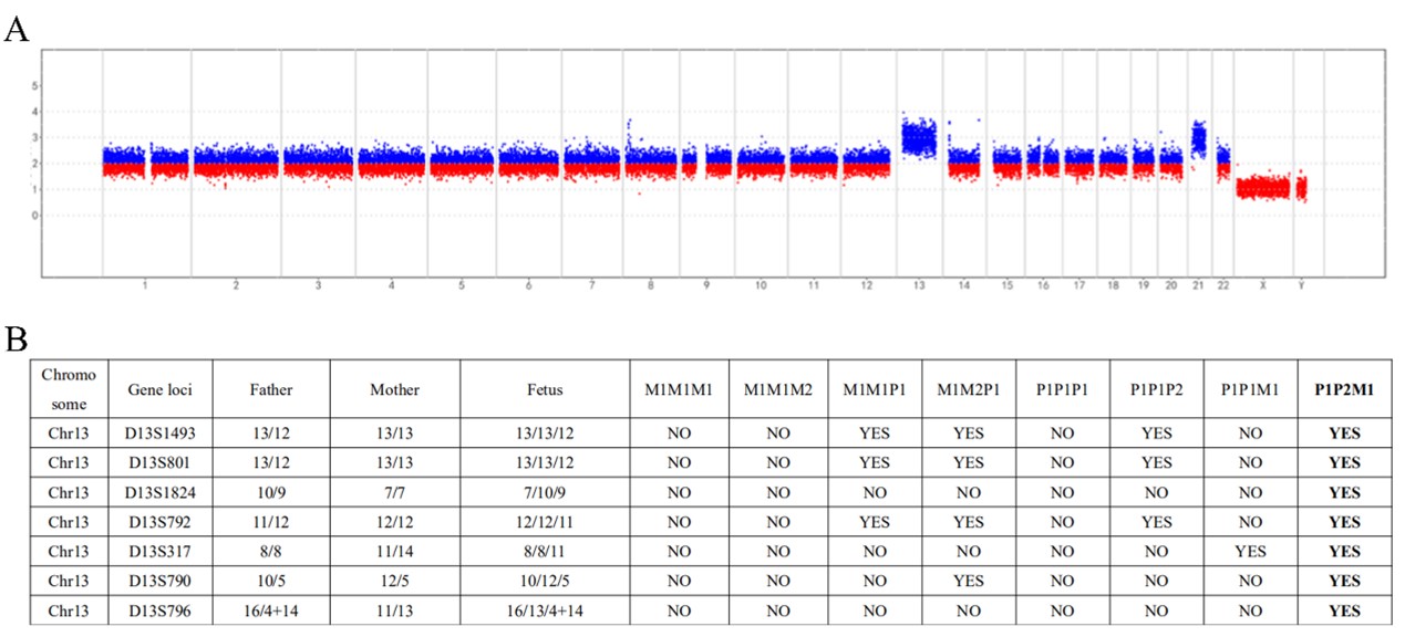 文献解读 | 一种基于CNV-seq和STR-seq结合的检测引起自然流产的非整倍体及染色体异常来源-基因检测 - 上海韦翰斯生物医药科技有限公司